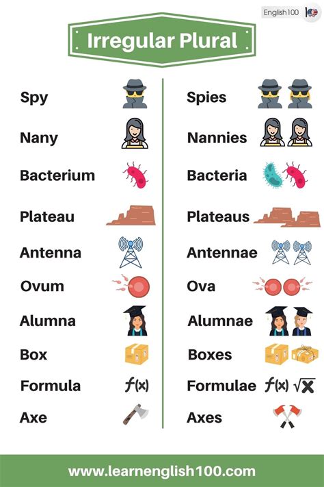 The List Of Most Common Irregular Plural Nouns In English And Their