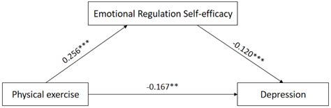 Ijerph Free Full Text The Relationship Between Physical Exercise