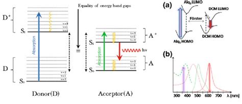 16 Schematic Representation Of Förster Resonant Energy Transfer Fret