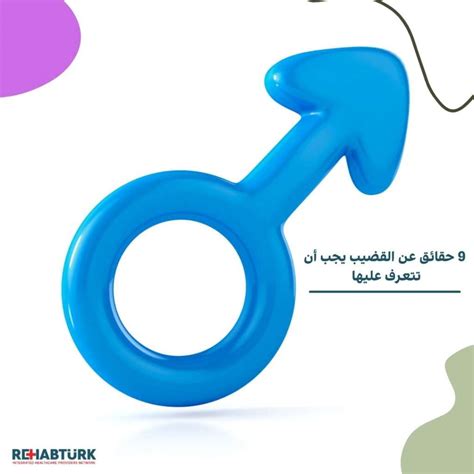 9 حقائق عن القضيب يجب أن تتعرف عليها ريهابتورك بوابتك للعلاج في تركيا