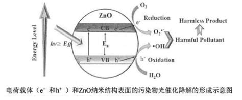 几种常见的可见光响应光催化剂（tio2、zno、g C3n4、biobr）性能对比 Udp糖丨mof丨金属有机框架丨聚集诱导发光丨荧光标记推荐