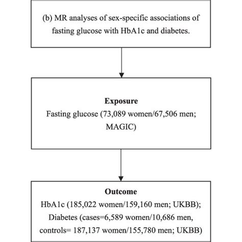 Mendelian Randomization Estimates For Sex Specific Associations Of