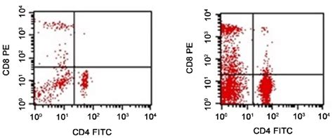 Show Dot Blot Analysis Of Flow Cytometry Data Of Cd4 Cd8 Of Two Cases
