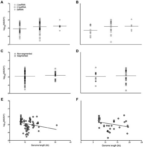Nucleotide Substitution Rates And Ecological Properties Of Mammalian