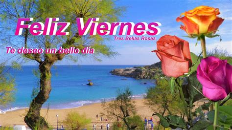 Te Deseo Un Bello Y Feliz Viernes Un Mensaje Esperanzador Con Alegría