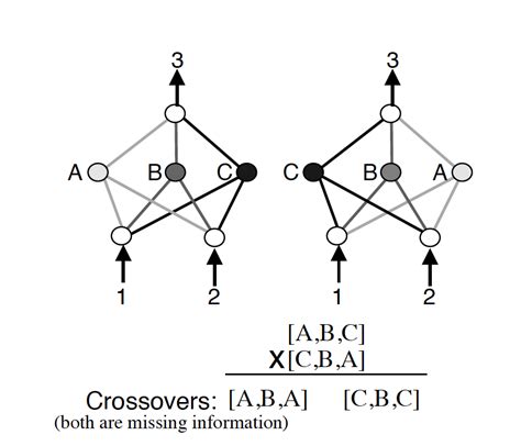 evolving artificial neural networks using genetic algorithms by ilias