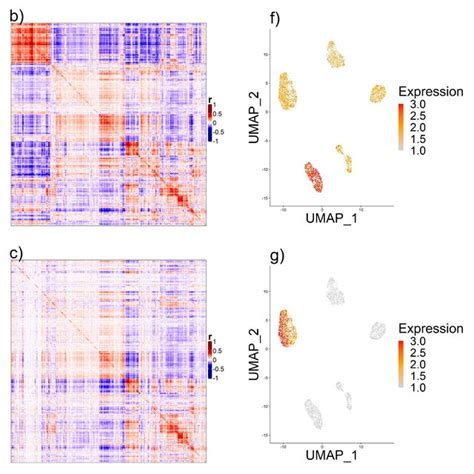 pdf dubstepr correlation based feature selection for clustering