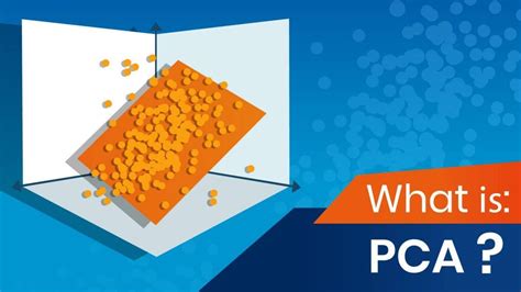 what is principal components analysis 365 data science
