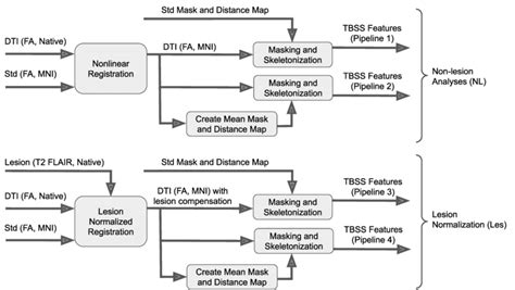 the four different tbss preprocessing pipelines download scientific