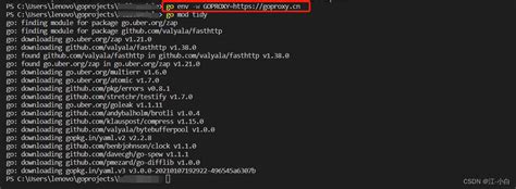 go 在编译时报 a connection attempt failed because the connected party did
