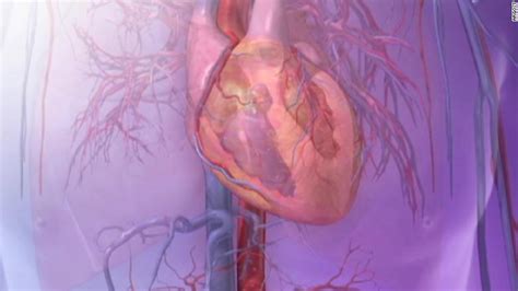 Sex Boosts Long Term Survival Hopes For Heart Attack Victims Cnn