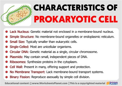 Characteristics Of Prokaryotic Cells