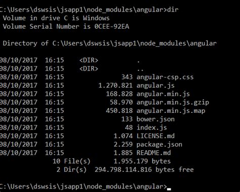 trying npm the node js package manager dswsis data bit