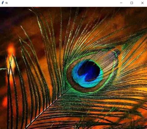 learn how to display images in tkinter using labels