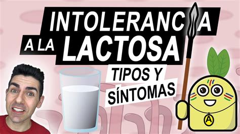 Intolerancia A La Lactosa Tipos Y Síntomas De Un Intolerante A La