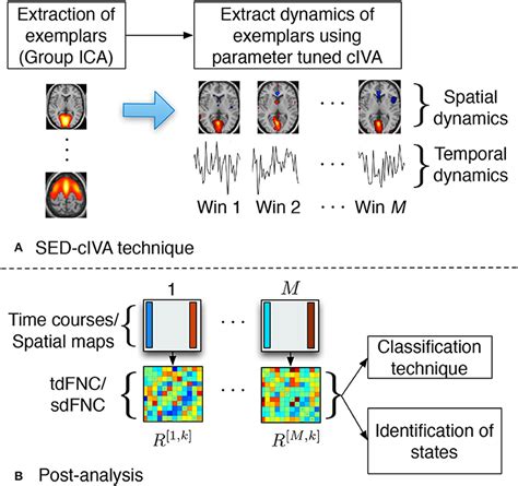 frontiers spatial dynamic functional connectivity analysis identifies