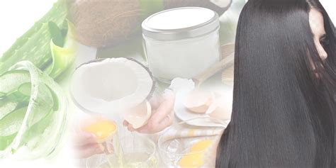 5 Effective Homemade Conditioners For Dry Hair Sarvyoga Yoga