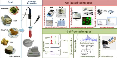 Schematic Representation Of The Proteomics Analysis Workflow Using Both