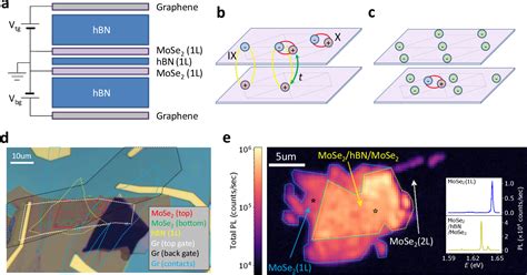 Figure 1 From Moiré Superlattice In A Mose 2 Hbn Mose 2