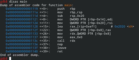 understanding address spacing in detail