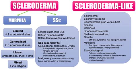 Systemic Sclerosis In Adults Part I Clinical Features And