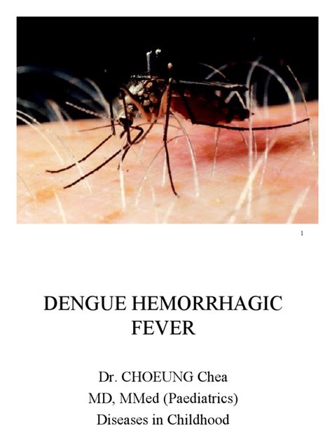 Dengue Hemorrhage Fever 2 Intravenous Therapy Clinical Medicine