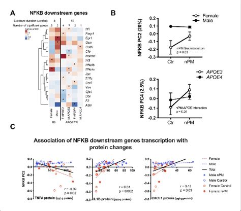 npm induced inflammatory responses with sex and apoe specificity a