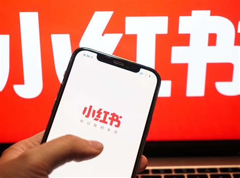 小红书到底能不能赚钱？ 极客公园