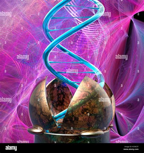 Conceptual Illustration Of A Double Stranded Dna Deoxyribonucleic Acid