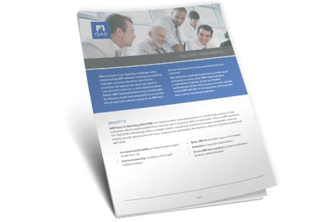 global erp consulting services qad
