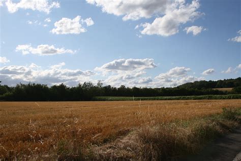 Free Images Landscape Tree Nature Horizon Marsh Cloud Sky