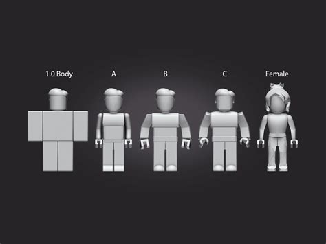 Roblox Body Evolution