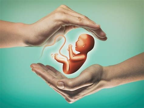Can Ivf Solve All Infertility Issues Six Facts Bust Myths Around It