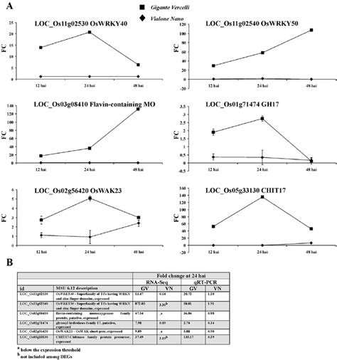 Time Course Expression Analysis And Data Validation For Six Selected