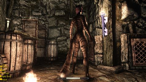 khajiitcubus not feel sexy without her tail papyrus compile fails