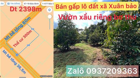 Cần Bán Gấp Lô đất Dt 2398m Có 300m Thổ Cư Sổ Hồng Vườn Xầu Riêng Bơ