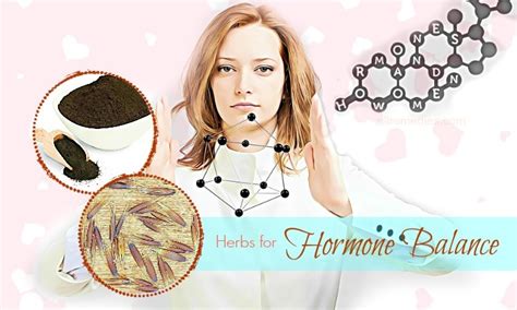 For Women Top 13 Best Herbs For Hormone Balance