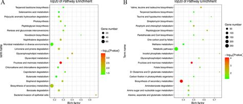 Kegg Pathway Enrichment Analysis Based On The Differentially Expressed