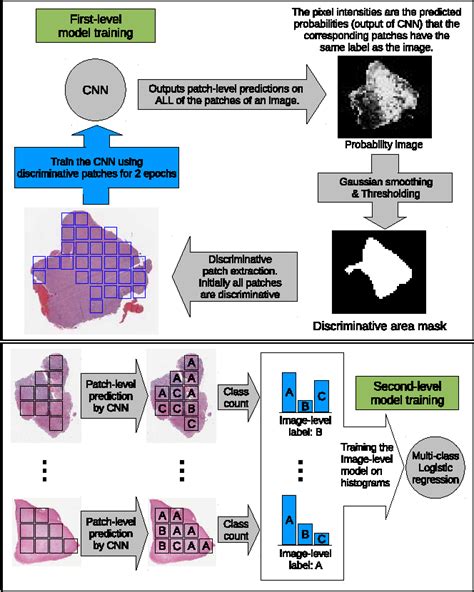 patch based convolutional neural network for whole slide