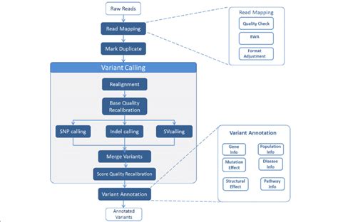variant analysis workflow variant analysis workflow the figure shows