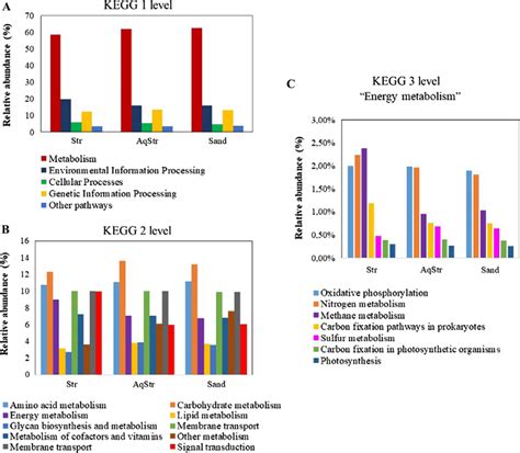Relative Abundance Of Key Kegg Pathways Calculated From The Potentially