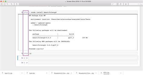 python running kernel problem installing via conda in