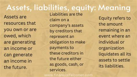 Assets Liabilities Equity Comparison Financial Falconet