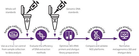 Ngs Standards Atcc