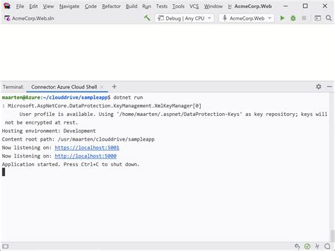 cloud shell web preview debug individual azure functions