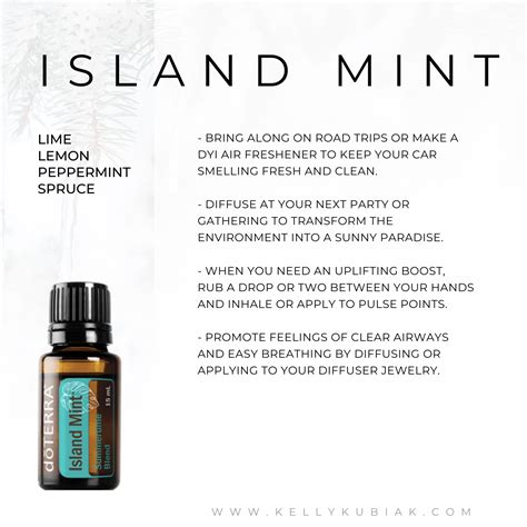 Essential Oil Education Diy Blends Recipes Kelly Kubiak