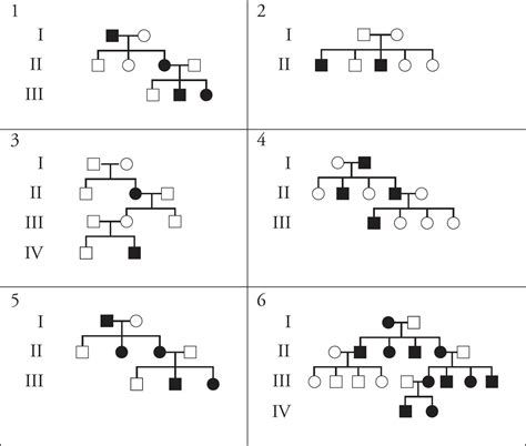 Genetics And Evolution Mcat Biology And Biochemistry