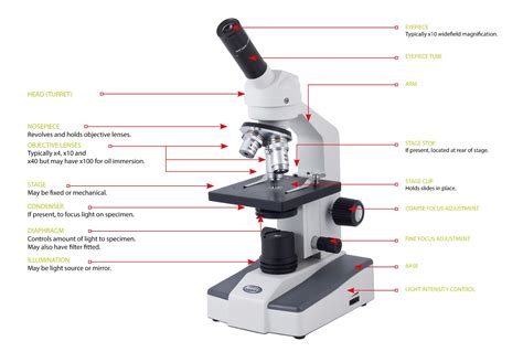 42 Parts Of A Microscope