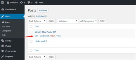 how to find your wordpress page id and post id and what you can do