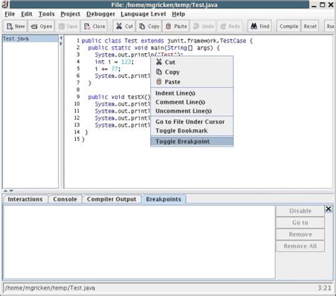 using the debugger